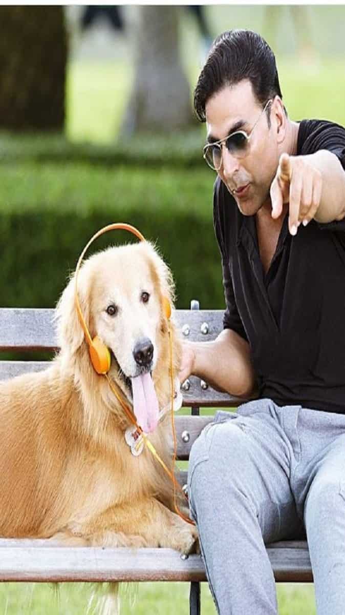 ଆସନ୍ତୁ ଜାଣିବା ବଲିଉଡ ଷ୍ଟାର ଓ ତାଙ୍କର କେତେକ ପାଳିତ କୁକୁରଙ୍କ ବିଷୟରେ